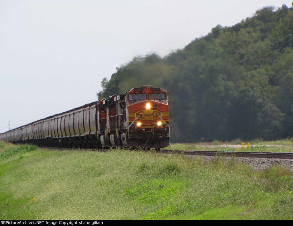 BNSF 4885 leads a grain train nb.